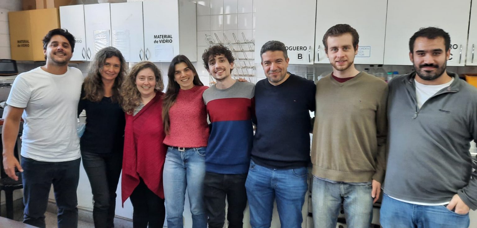 Biofábricas. Sistema baculovirus/larvas de insectos | NANOBIOTEC